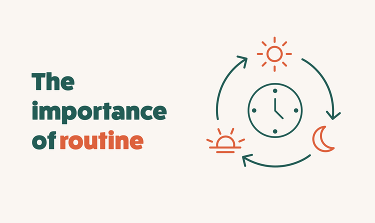 The Importance of Routine: A Path to Balance and Productivity – Prepped ...